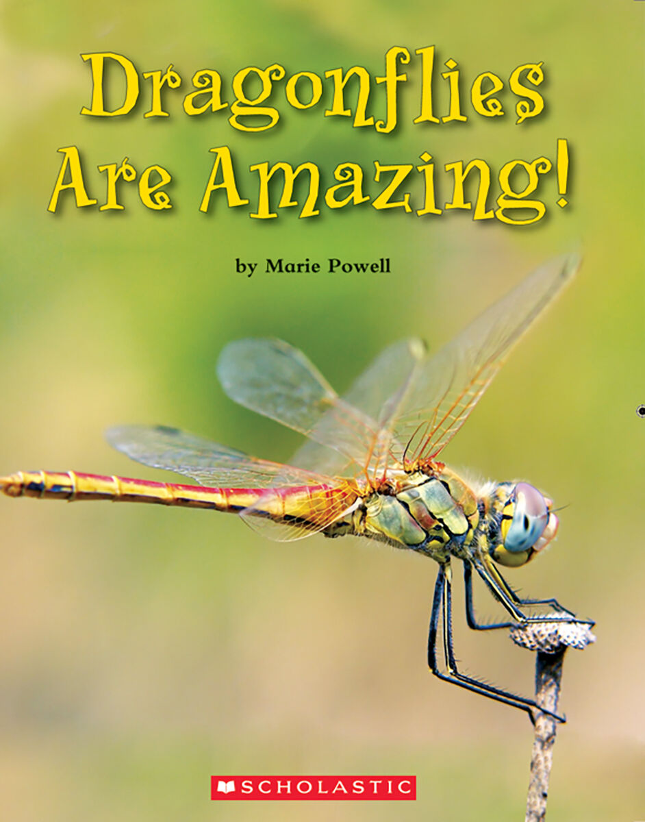 Literacy Place for the Early Years Grade 2: Level O: Dragonflies Are ...