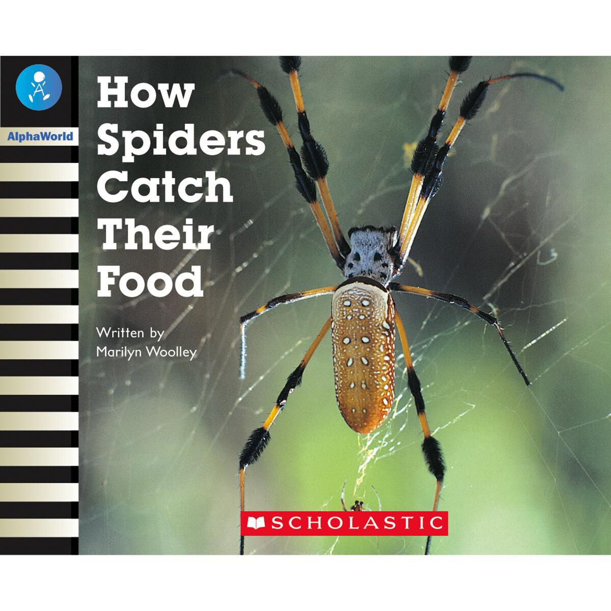AlphaWorld: Level 19 (J): How Spiders Catch Their Food 6 Pack ...