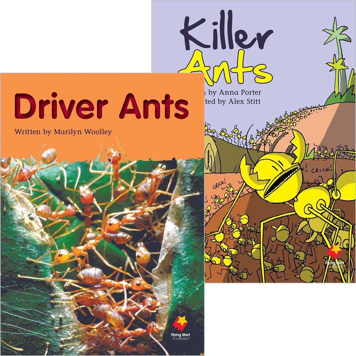 Flying Start: Level K: Driver Ants/Killer Ants 12 Pack | Scholastic ...