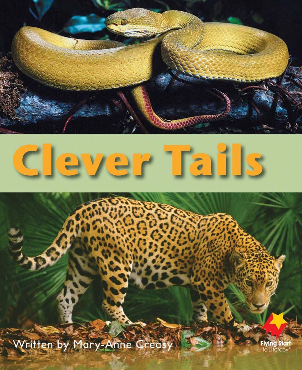Flying Start: Level G: Clever Tails/The Monkey's Tail 12 Pack ...