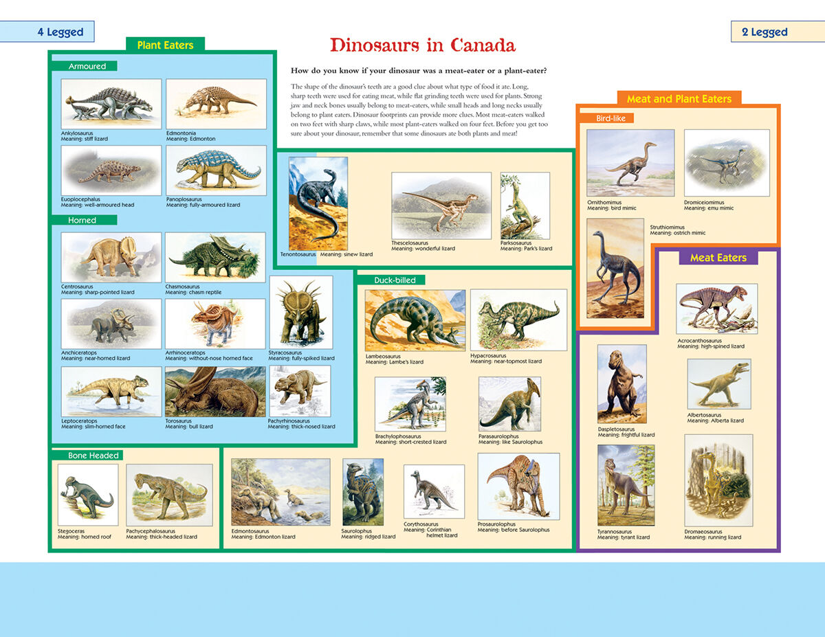 Literacy Place for the Early Years Grade 3: Level P: Digging for ...