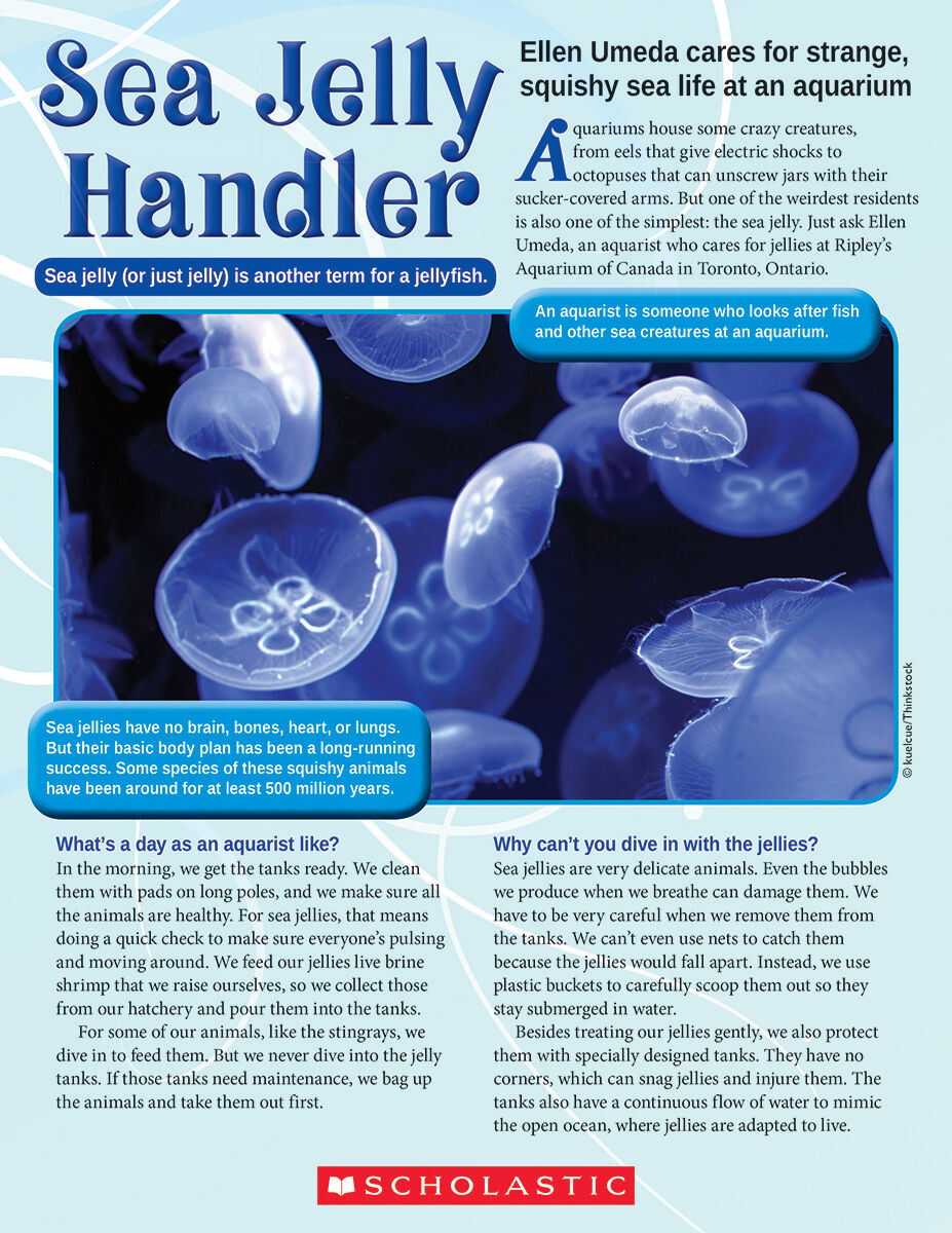 Moving Up Grade 4: Level P: Sea Jelly Handler 6 Pack | Scholastic ...